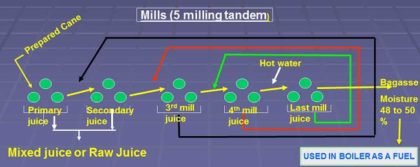 White sugar making process | How to make plantation white sugar