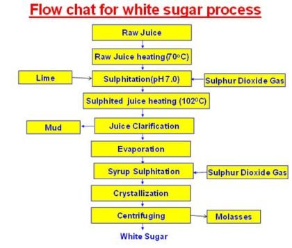White sugar making process | How to make plantation white sugar